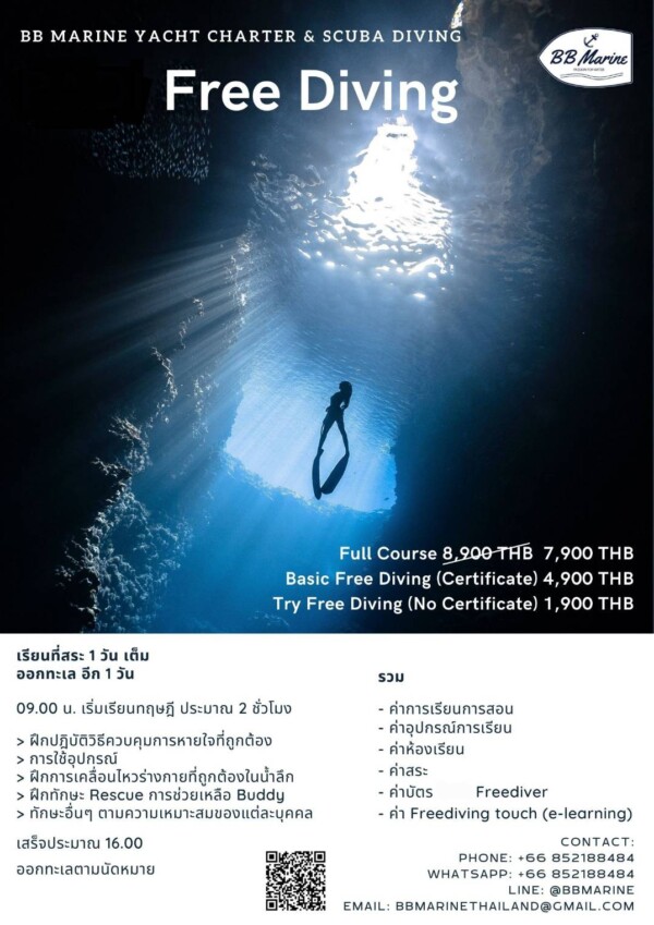 Free Diving - BB Marine Boating and Scuba Diving คอร์สเรียนดำน้ำ เรียน ...